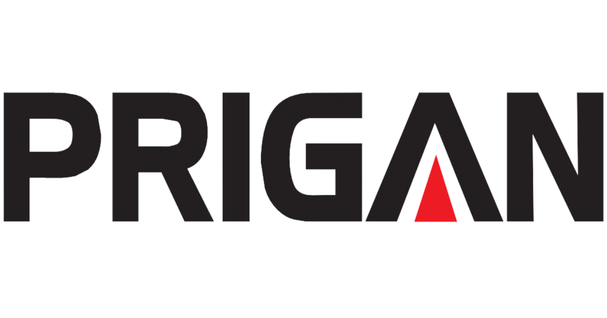 Prigan India | Buy Premium Car Wheel Covers Online – Prigan store